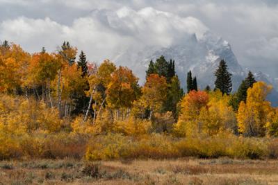 Fall colors reach peak this week | Mountain Weather | jhnewsandguide.com