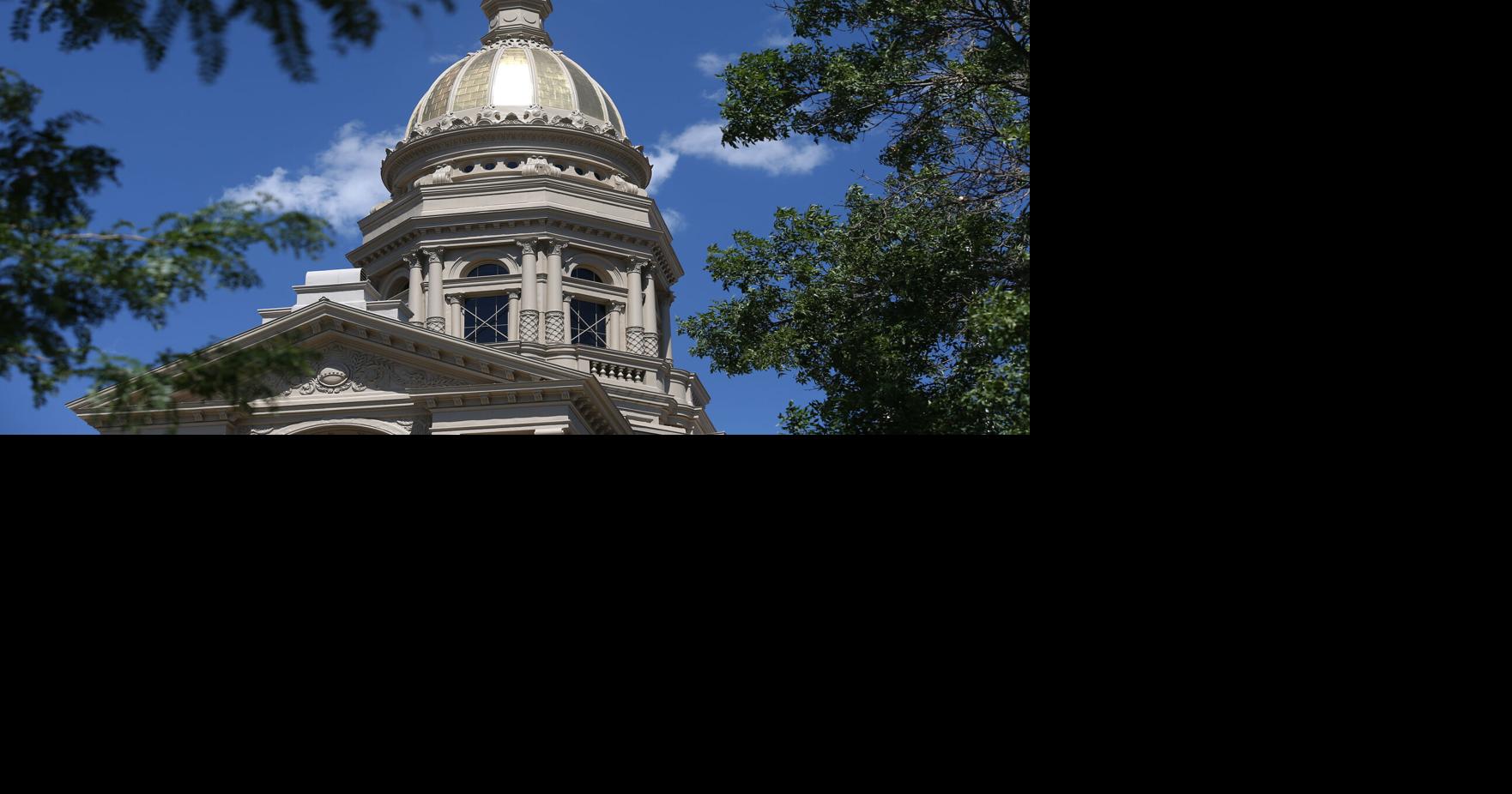 Capitol Corner: Graveyard of bills | Local | jhnewsandguide.com
