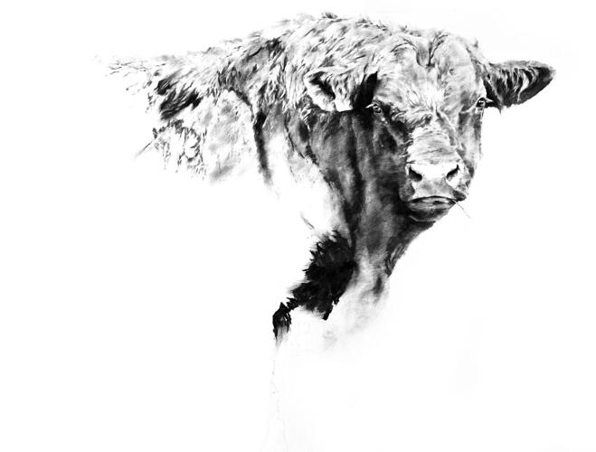 All in the family: Vhay sisters show at Altamira | Arts ...