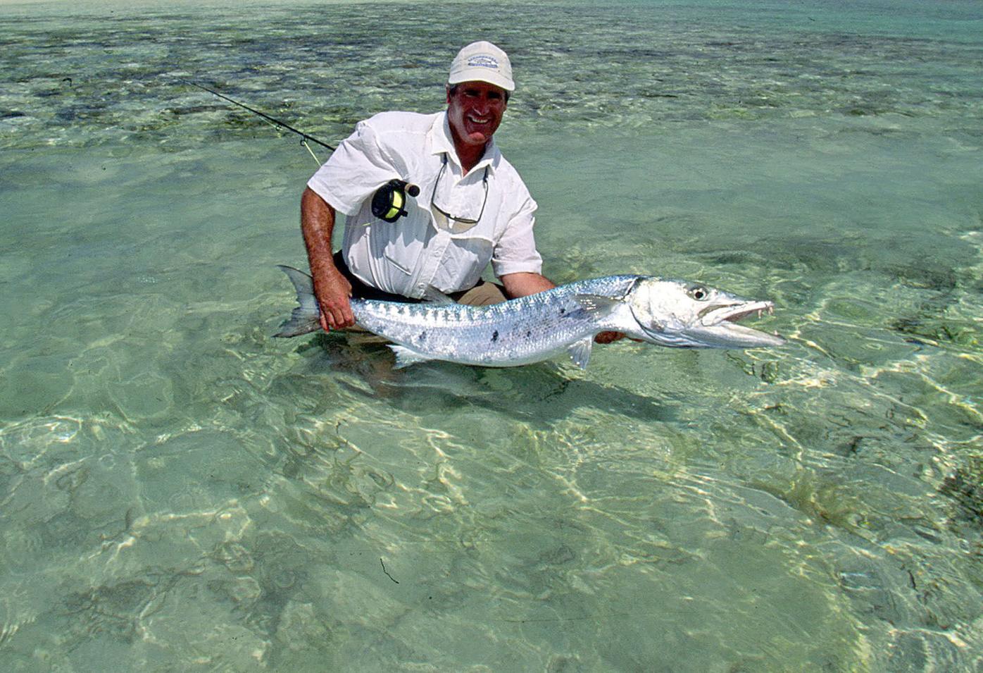 barracuda fish bite florida