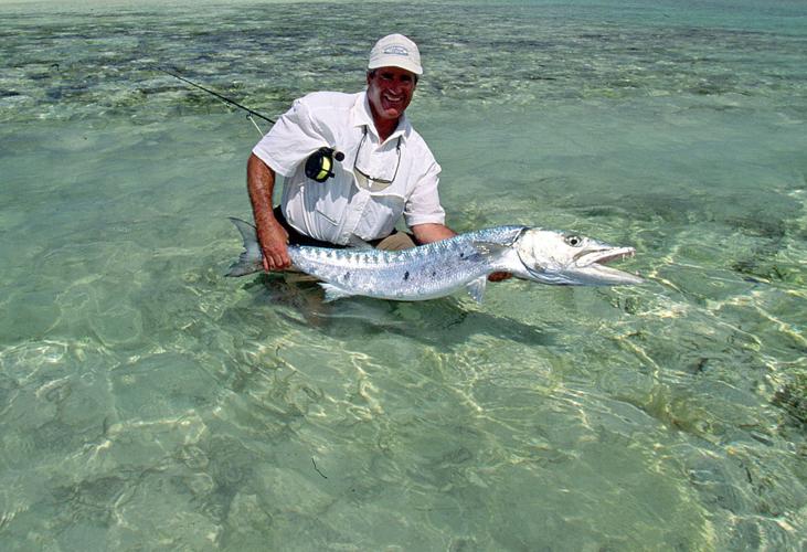 barracuda bite florida