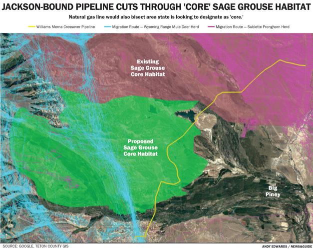Jackson-bound gas pipeline will cleave 'core' sage grouse habitat in ...