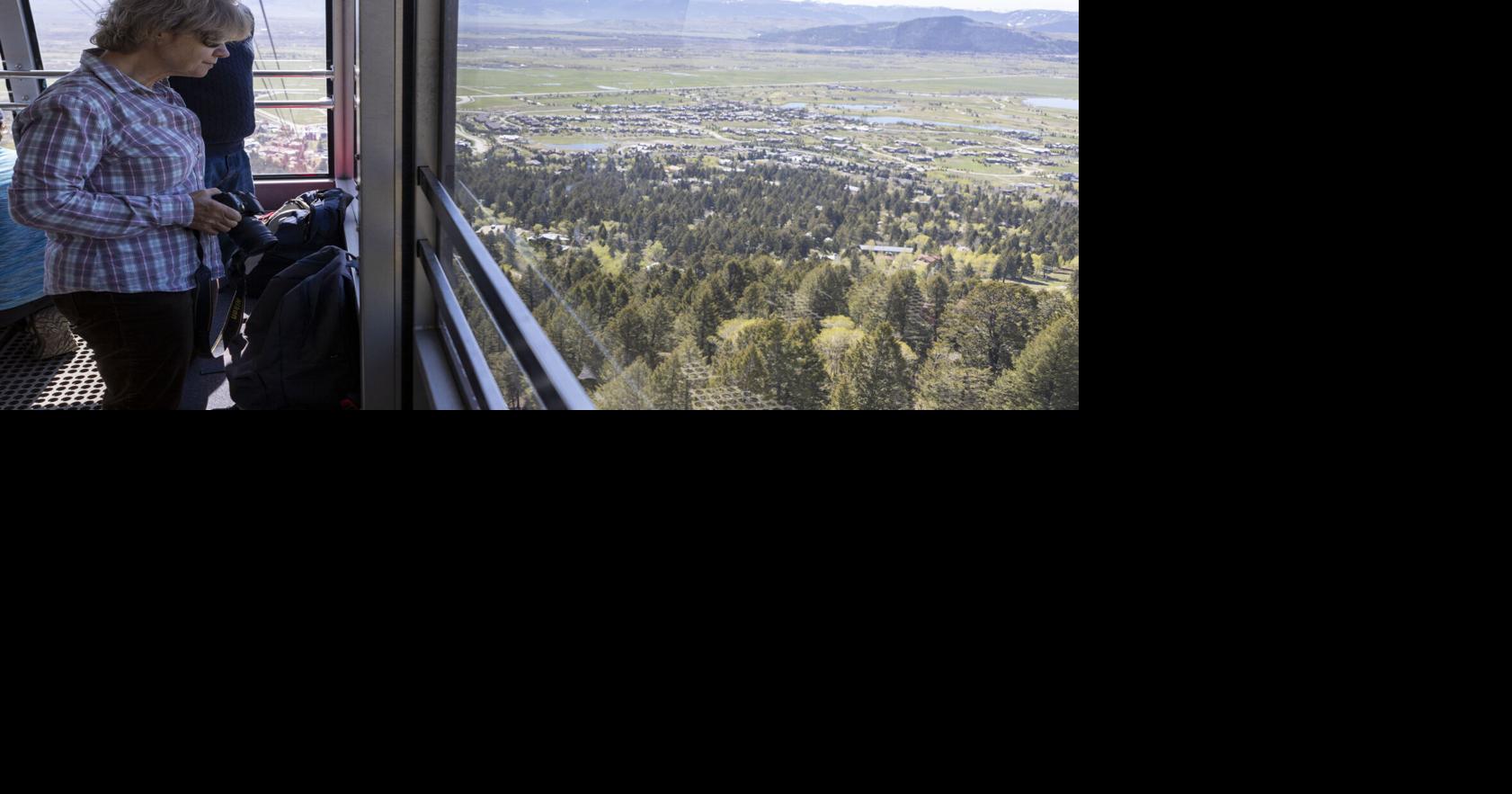 Time to take the fam on the Big Red Tram | Local | jhnewsandguide.com