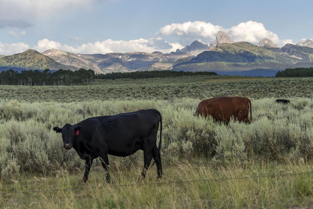 Billionaire knocking as Idaho governor, officials vote to auction Teton ...