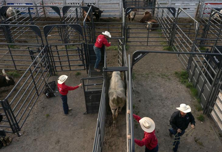Rodeo magic returns for Memorial Day weekend | Sports | jhnewsandguide.com