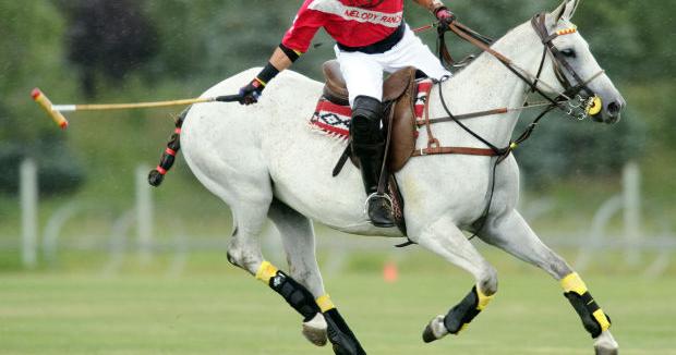 Stomping the Divots | Sports Features | jhnewsandguide.com