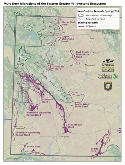 New research program targets 5 deer migrations | Environmental ...