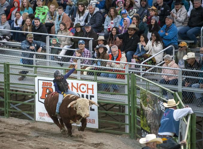 GALLERY: Jackson Hole Rodeo | Multimedia | jhnewsandguide.com