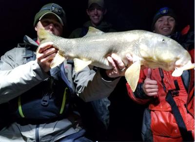 G&F biologists net ‘record’ sucker | Environmental | jhnewsandguide.com