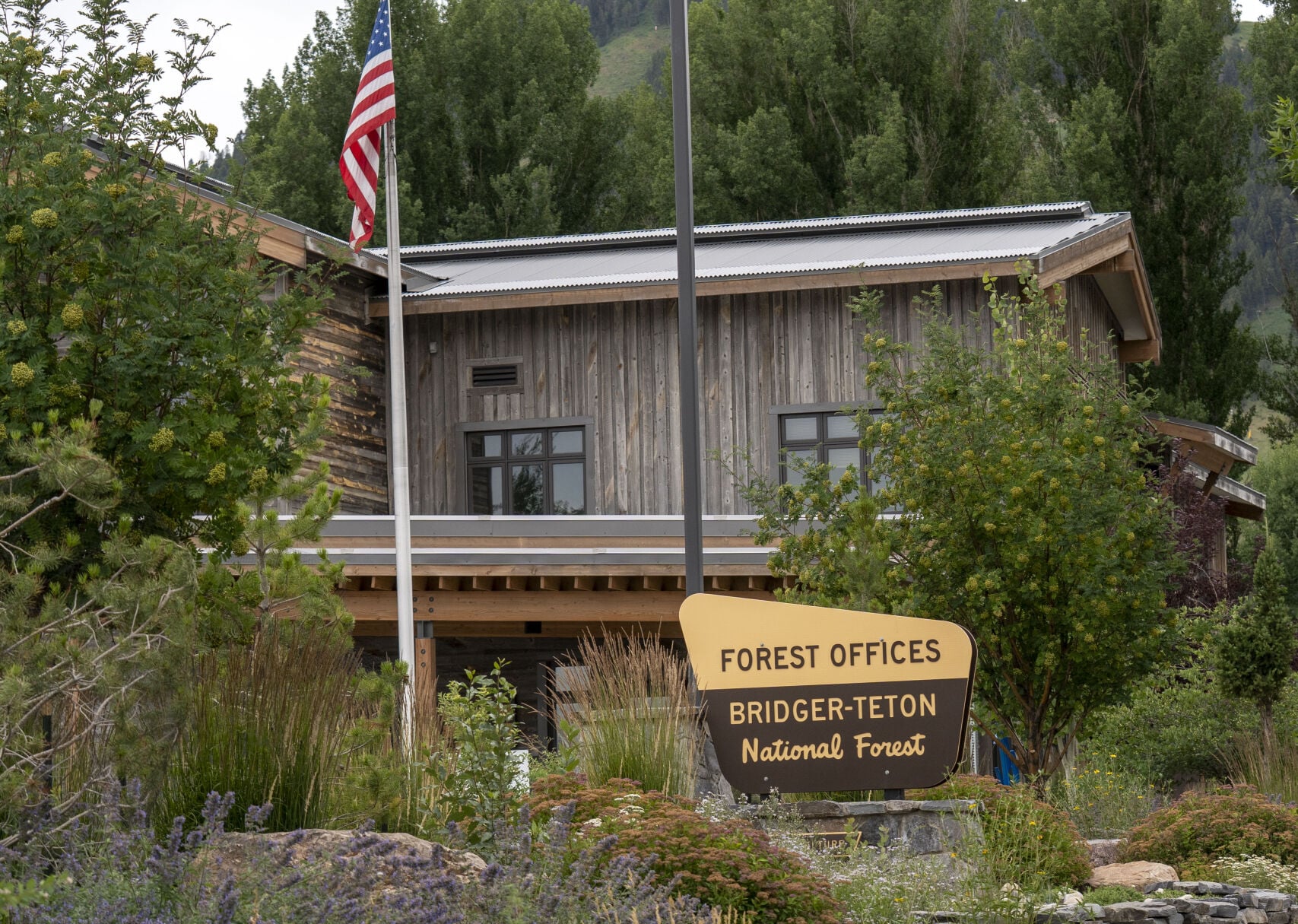 Trump administration restructuring to do away with regional U.S. Forest ...