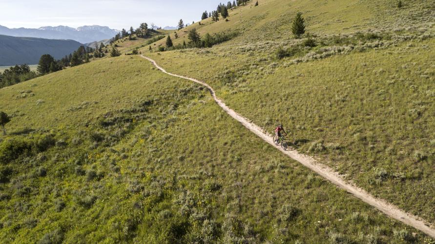 Jackson Hole study finds human-wildlife 'coexistence' — with caveats ...