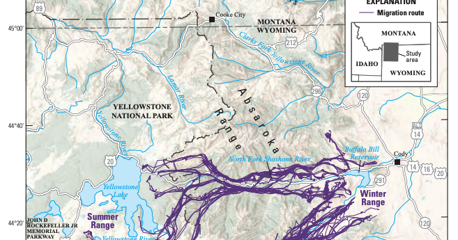 Limited testing might have slowed Yellowstone discovery of chronic ...