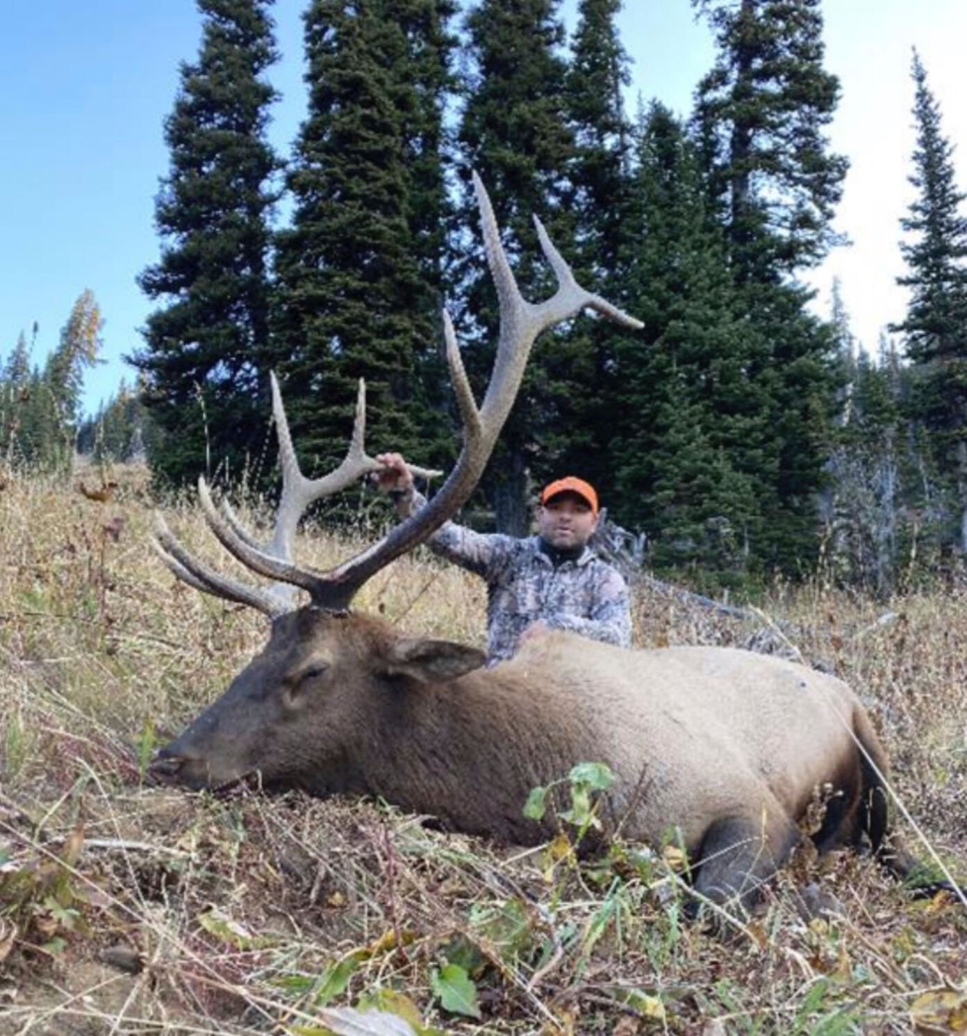 Impressive hunter, prolific social media poster Rodney Gilstrap faces ...