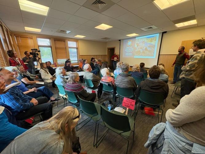 Jackson Hole wolf hunting meeting sees high turnout | Local ...