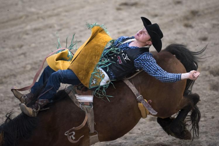 PHOTO GALLERY: Jackson Hole Rodeo | Galleries | jhnewsandguide.com