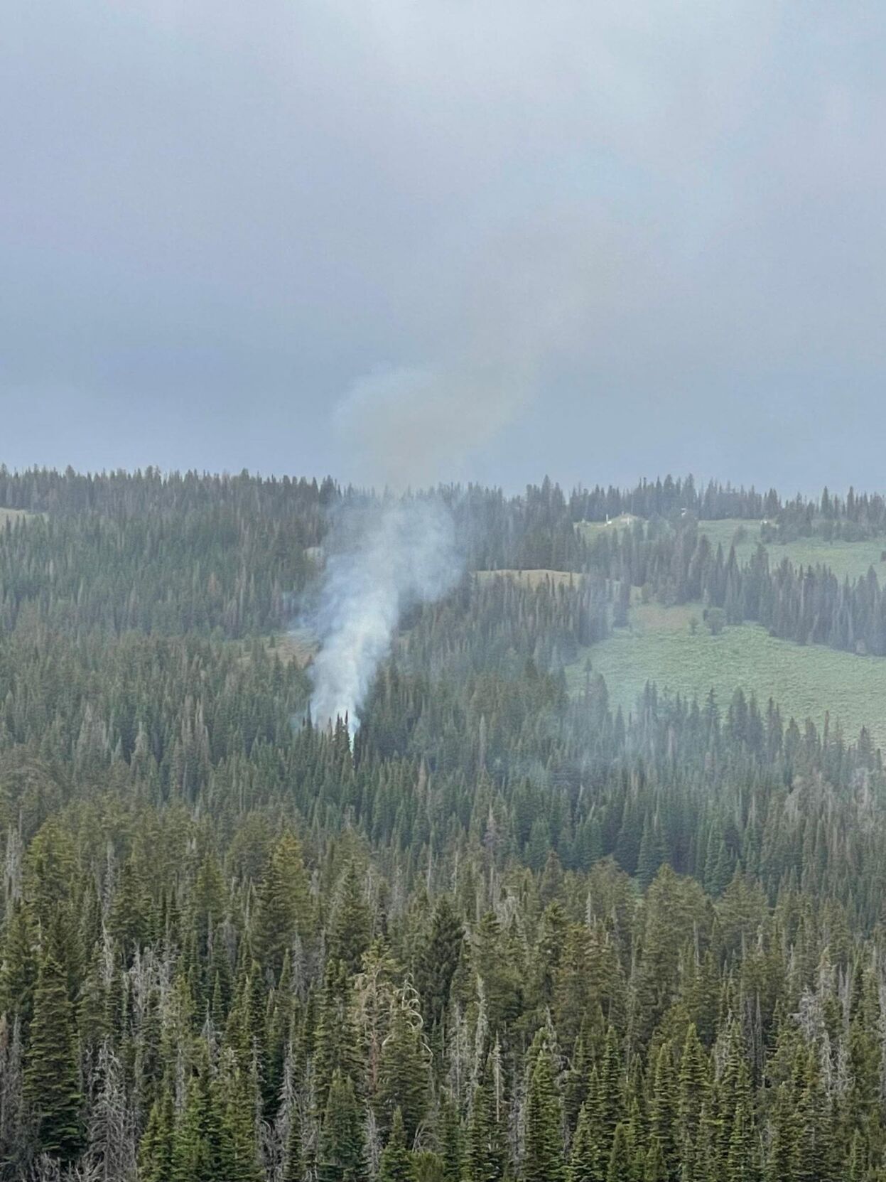 Three small wildfires pop up on Bridger-Teton National Forest | Local ...