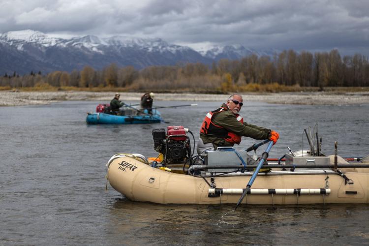 Gipson's 'show me' plan grew a wild fishery | Outdoors | jhnewsandguide.com
