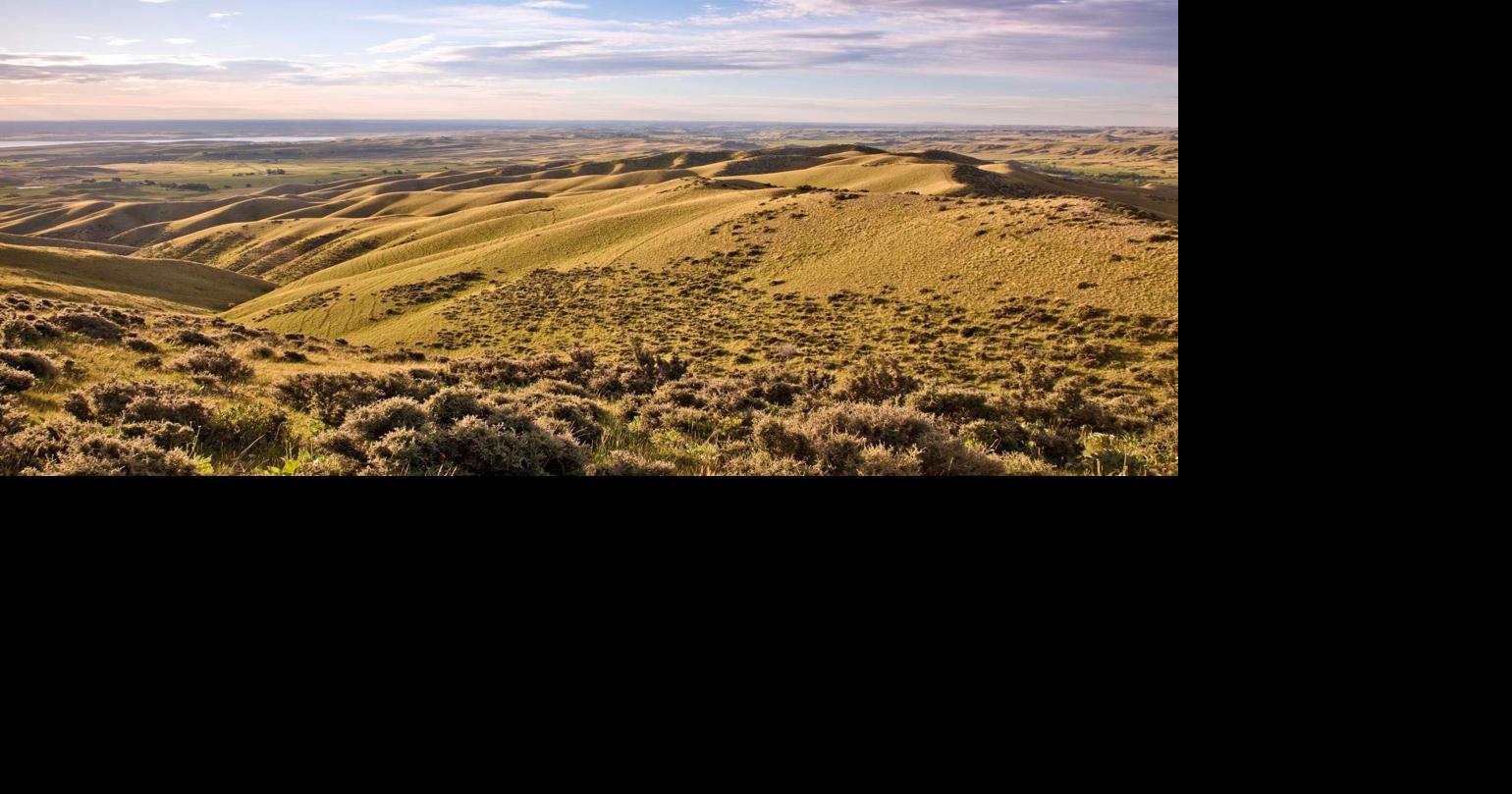 Photo exhibit extols Wyoming’s grasslands | Arts | jhnewsandguide.com