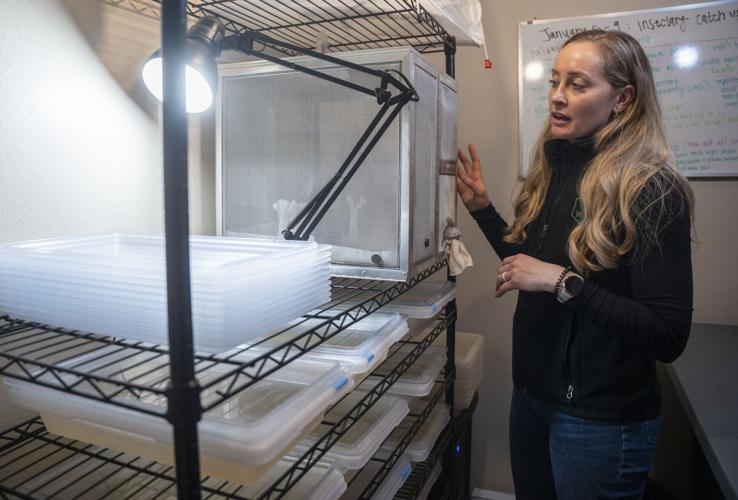Massive property tax cuts could spur West Nile outbreak in Teton County ...