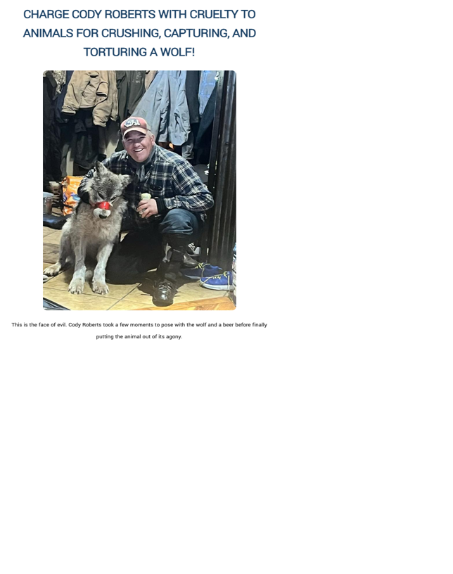 Cody Roberts, man accused of tormenting wolf, indicted for felony ...