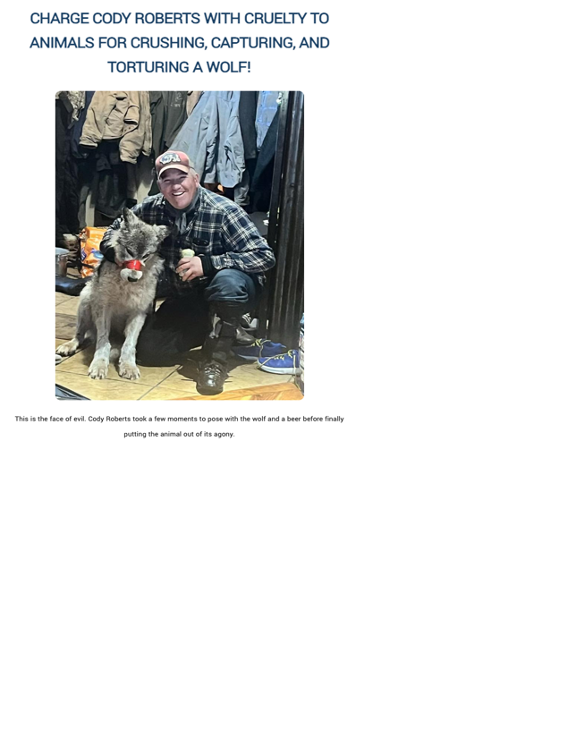 Cody Roberts, man accused of tormenting wolf, indicted for felony ...