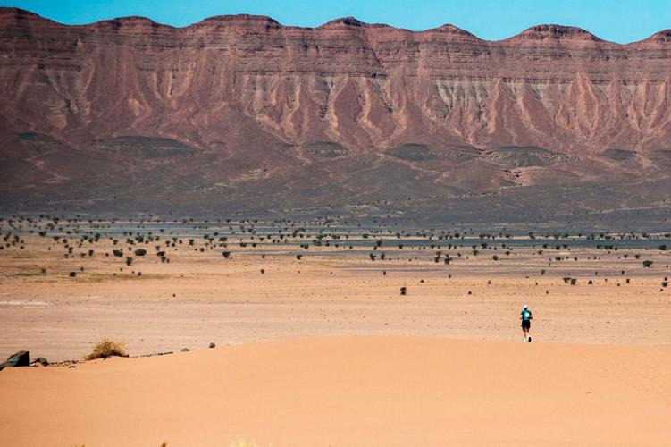 Staying a step ahead in the Sahara | Sports Features | jhnewsandguide.com