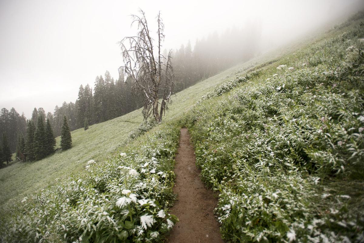 July snow in the Tetons | Multimedia | jhnewsandguide.com
