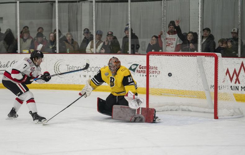 Another year, another 20-plus wins for Moose | Sports Features ...