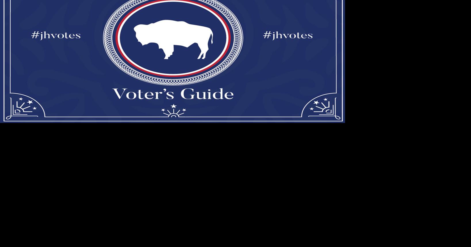 Check out the primary voter's guide before you cast your ballot | The ...