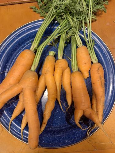 Boost school lunch with healthy options | Health | jhnewsandguide.com