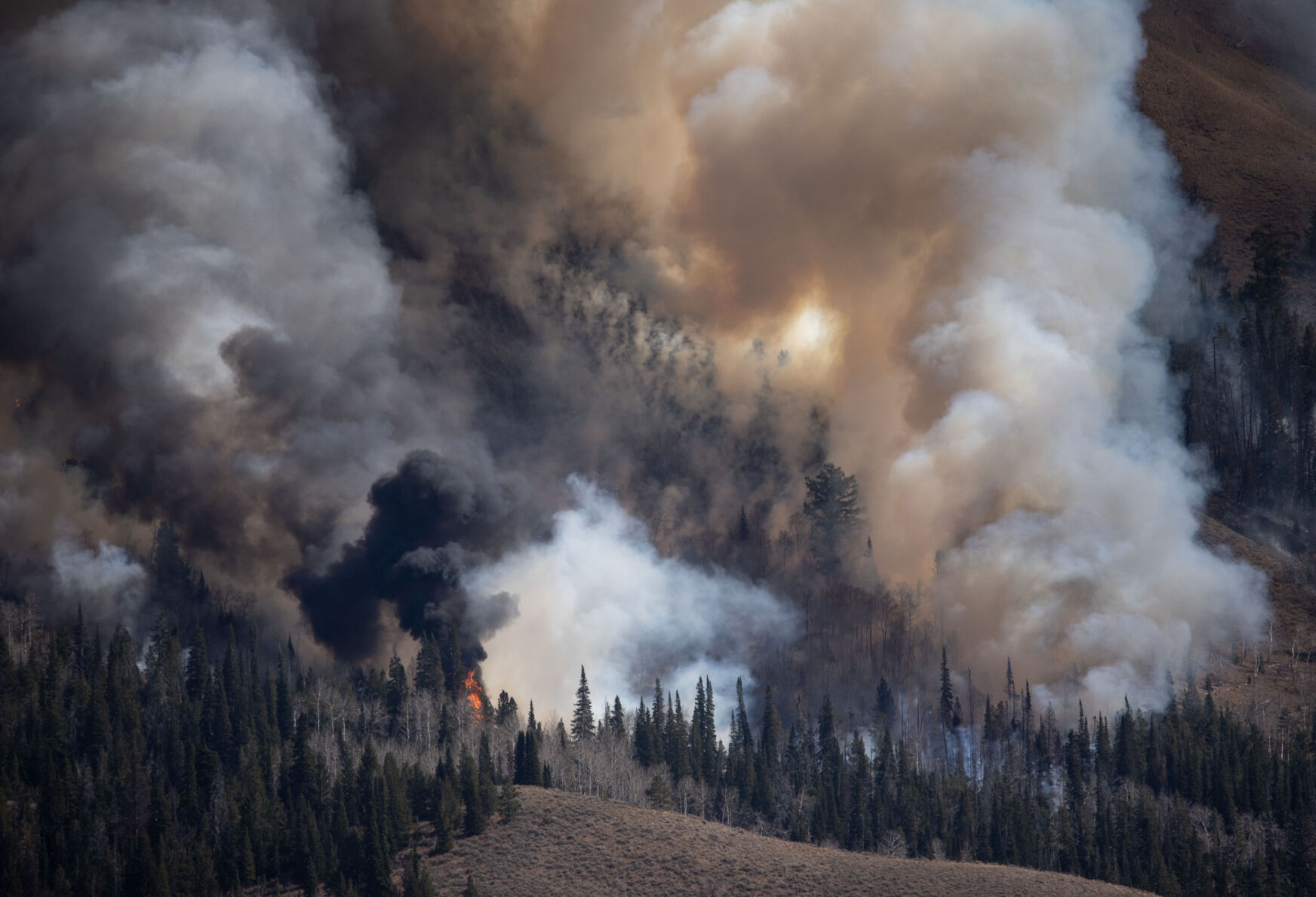 Firefighters wrapping homes, laying hose to protect Gros Ventre from ...