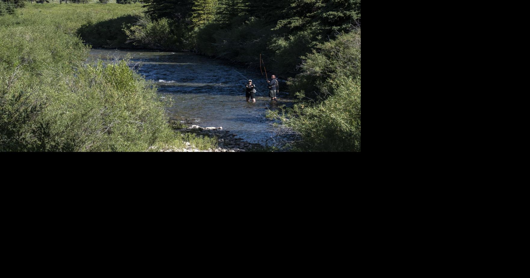 Fly fishing in full tilt with clear waters, low flows | Outdoors ...