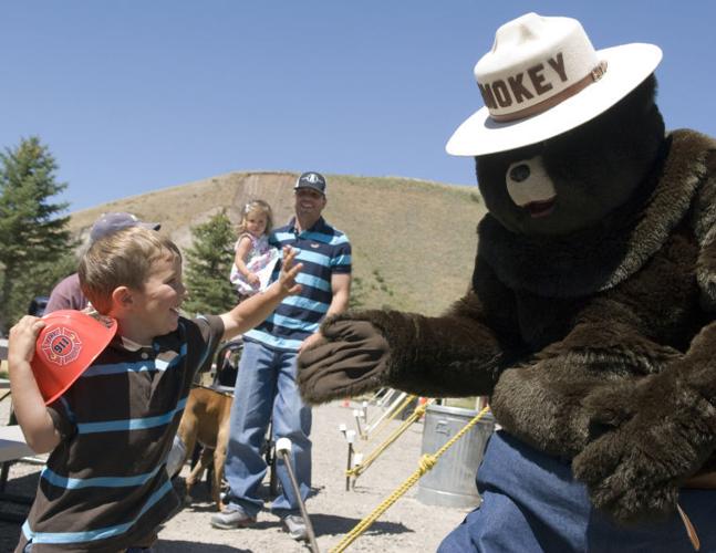 Only you: Forest Service's Smokey Bear campaign turns 80 | Features ...