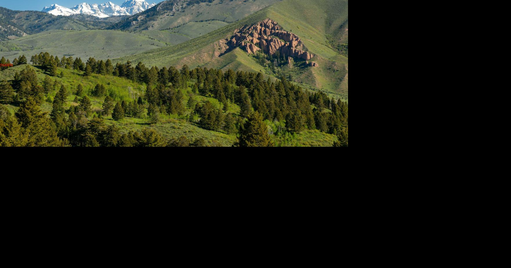 'Fridge Ridge' yields cool spring hike | Excursion | jhnewsandguide.com