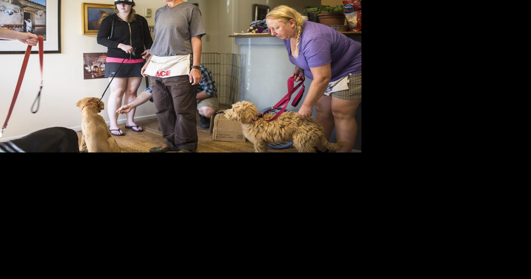 Positive puppies | Features | jhnewsandguide.com