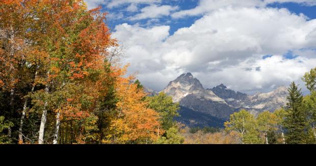 A riot of color | Features | jhnewsandguide.com