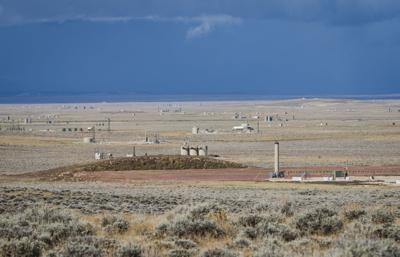 Study finds Wyo. gas fields abuzz with invertebrates | Local ...