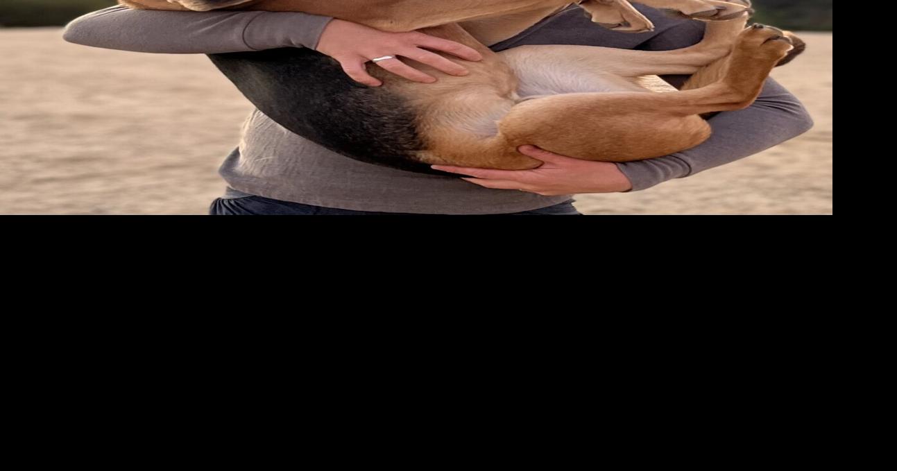 Jenny Fitzgerald chosen as Jackson Hole Conservation Alliance's new ...