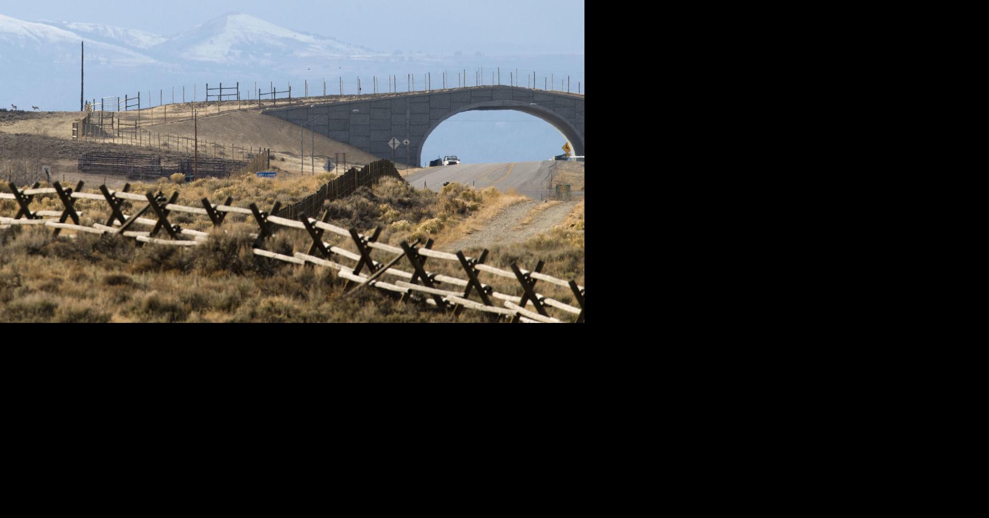 Wyoming wildlife gets a boost from millions in grants | Wy News ...