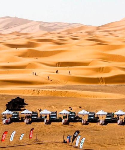 Staying a step ahead in the Sahara | Sports Features | jhnewsandguide.com