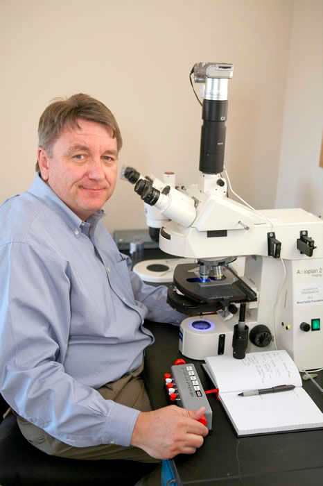 Brain Chemistry Lab study results are one step closer to ALS treatment ...