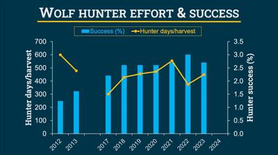 What’s it take to kill a Wyoming wolf? Nearly 500 hunting days, and ...