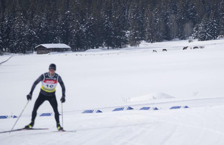 GALLERY: Moose Chase | Galleries | jhnewsandguide.com