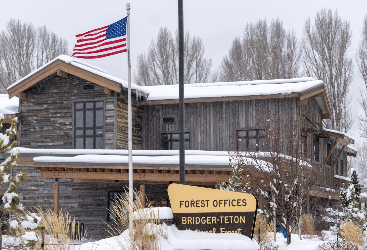 U.S. Forest Service chief departs after Trump firings hit western ...