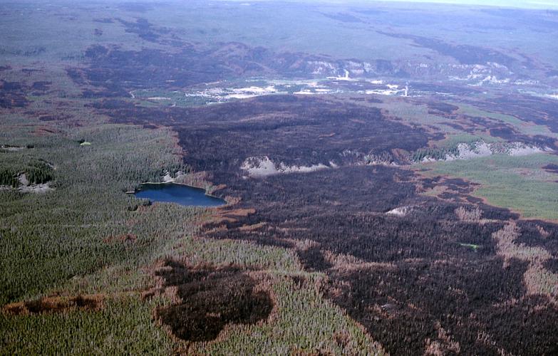 Thirty years after the 1988 Yellowstone fires, living in an era when ...