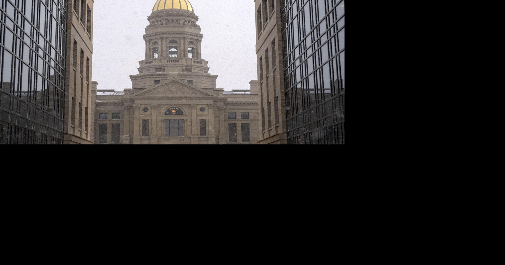Capitol Corner: Deadlines quickly kill bills in the House | Local ...