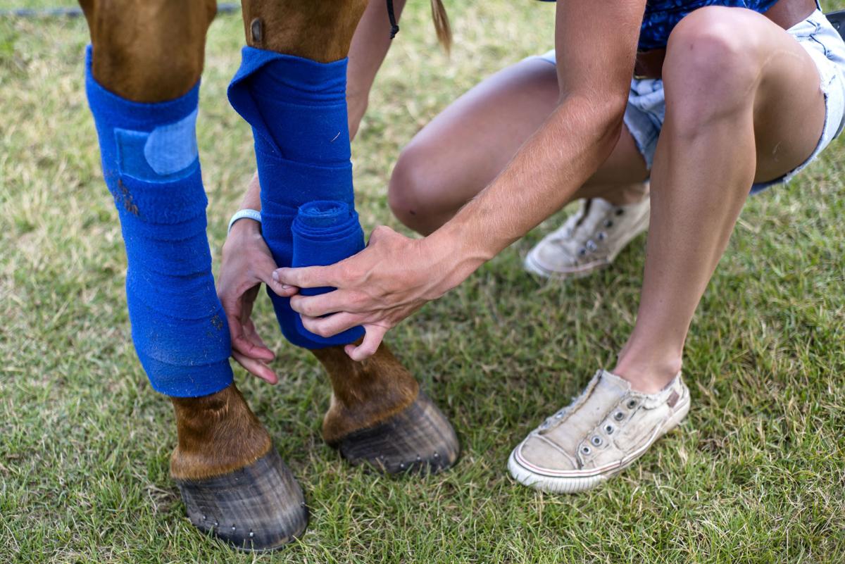 Bond of horses, riders highlighted at ‘Stomping the Divots’ | Features ...