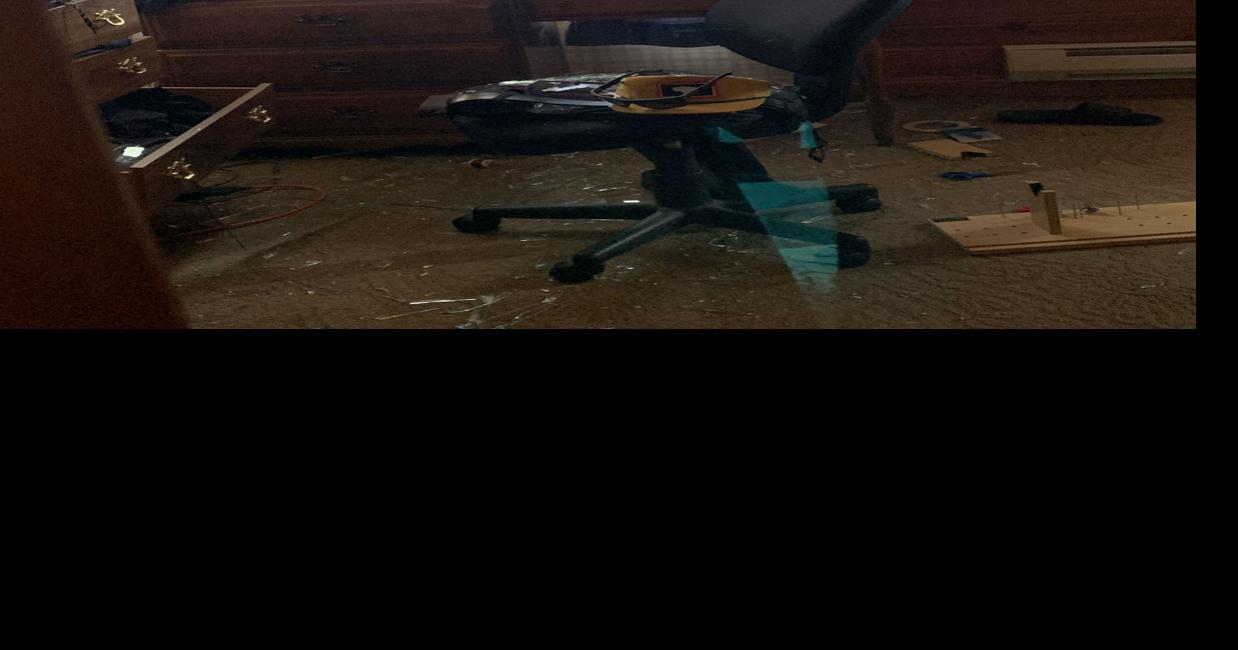 Ancient eagle dive-bombs man’s window | Features | jhnewsandguide.com