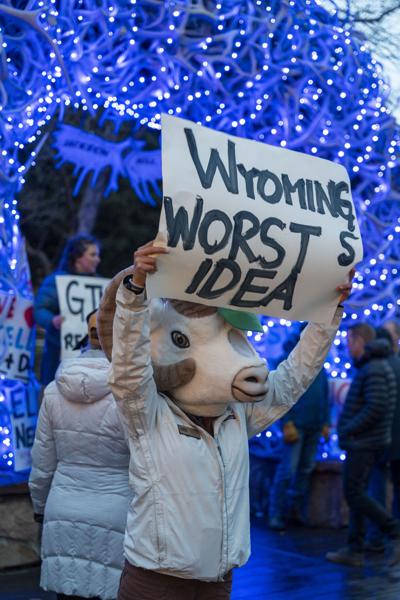 Protesters decry auction of Kelly parcel | Environmental ...