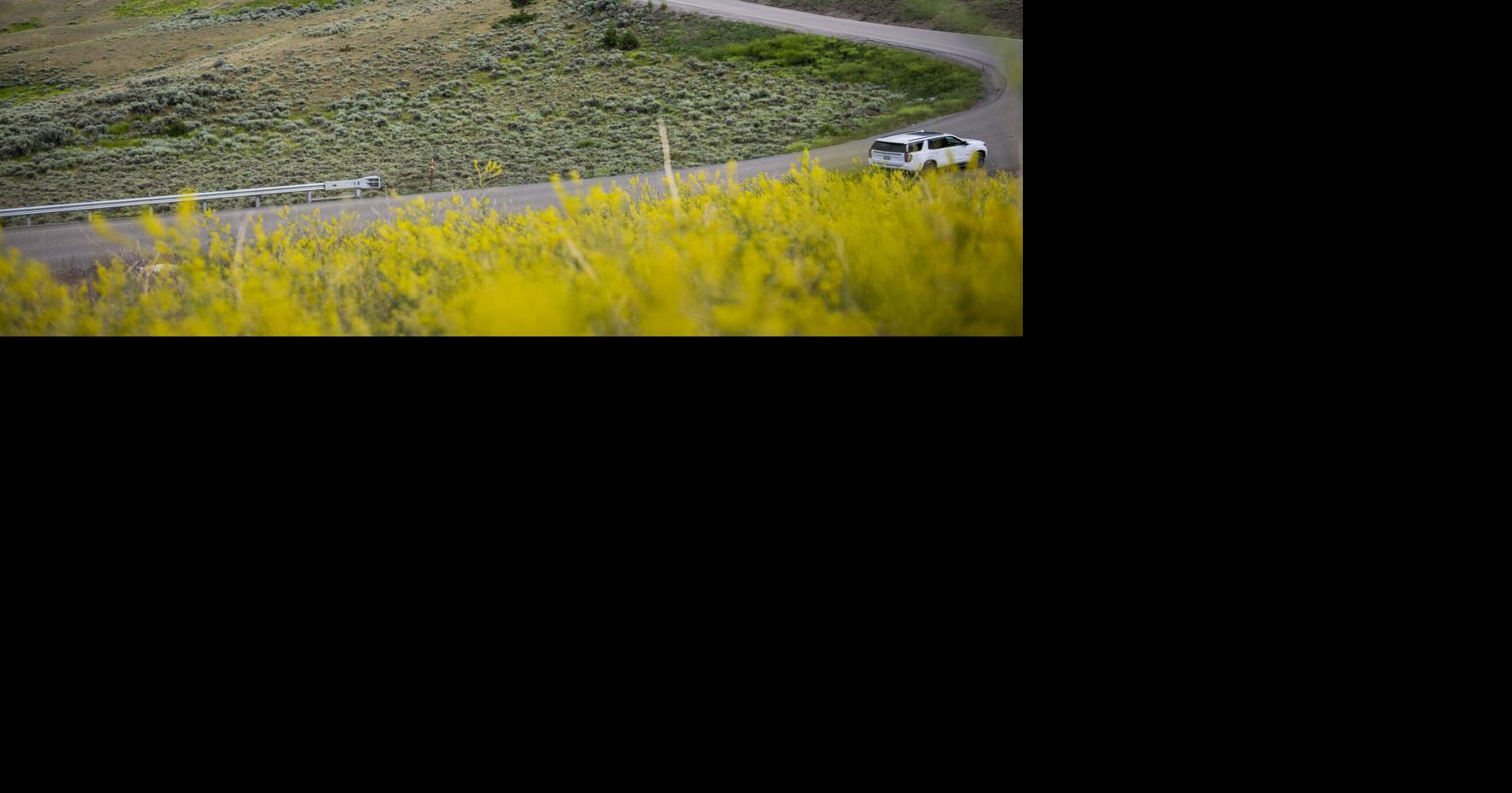 Yellowstone looks to permit new North Entrance Road. Where will it be ...